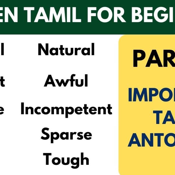 Learn Tamil Throguh English - Learn Tamil Through English